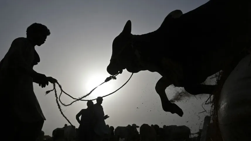 Eid-ul-Azha 2026 Date In Bangladesh | Zilhajj moon sighted: Eid-ul-Azha ...
