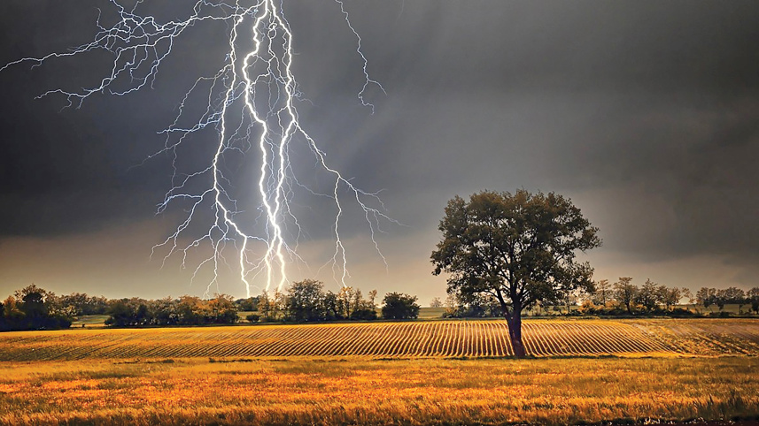 Three bodies recovered in Netrokona; lightning strikes suspected | The ...