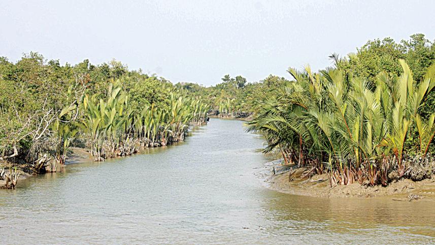 Fish under threat, humans too | The Daily Star