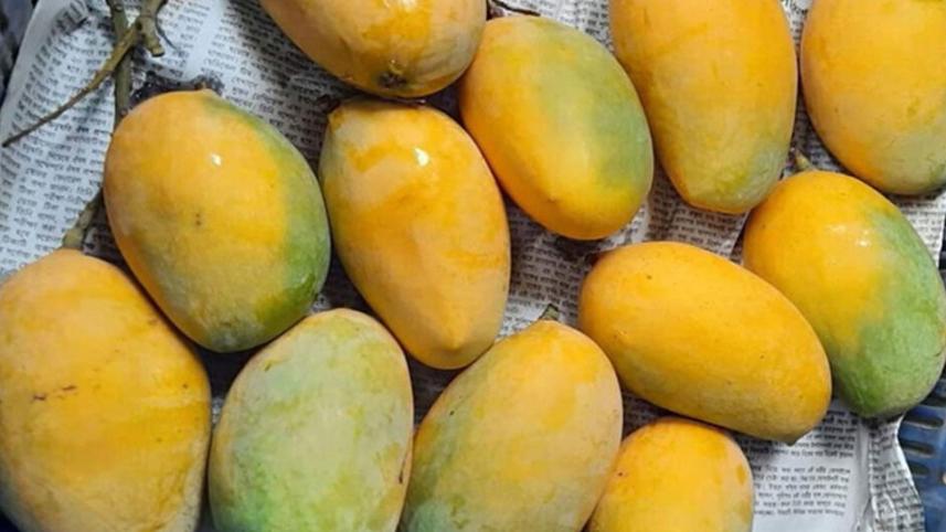 Rajshahi's mangoes being exported to Italy | The Daily Star