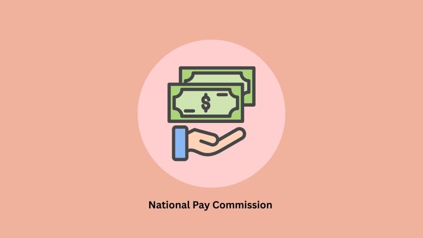 National Pay Commission seeks public opinion to design salary structure ...