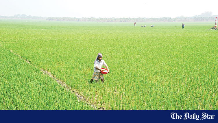 Farmers pay more for fertilisers despite no major shortage | The Daily Star