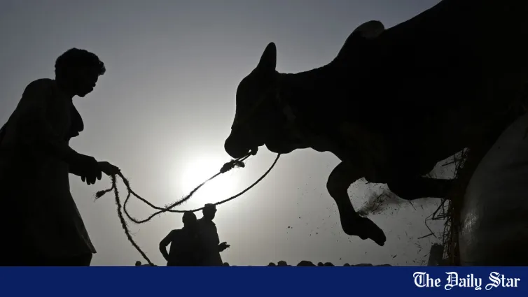 Eid-ul-Azha 2026 Date In Bangladesh | Zilhajj moon sighted: Eid-ul-Azha ...