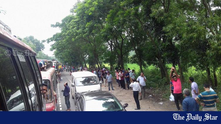 Fallen tree halts traffic between Dhaka, northern region | The Daily Star