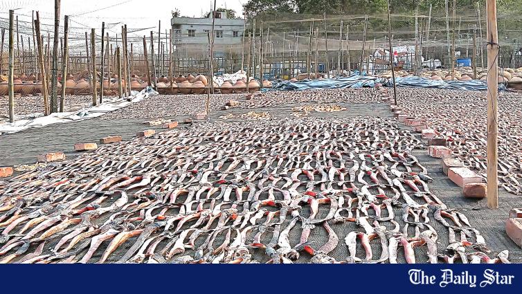 Heyday for dried fish business | The Daily Star